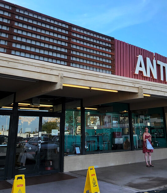 vintage arizona treasure dreams ftr