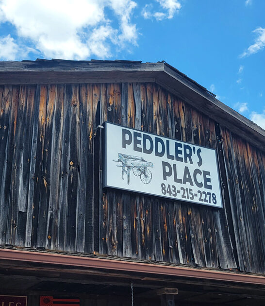 vintage collectible south carolina ftr