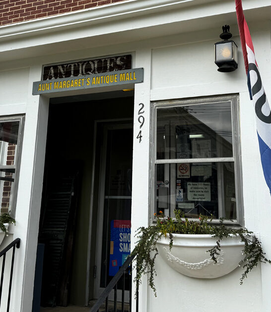 vintage delaware gigantic store ftr