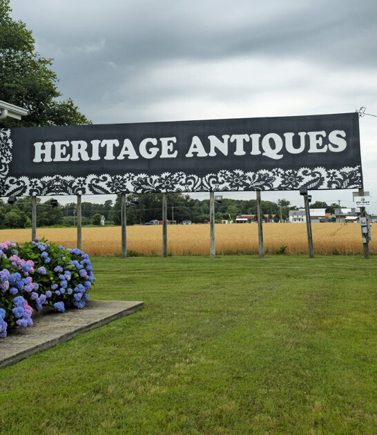 vintage delaware treasure dreams ftr