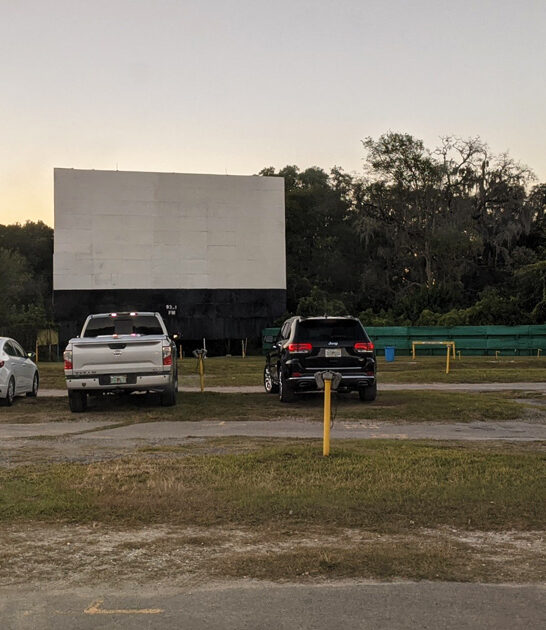 vintage drive florida childhood ftr