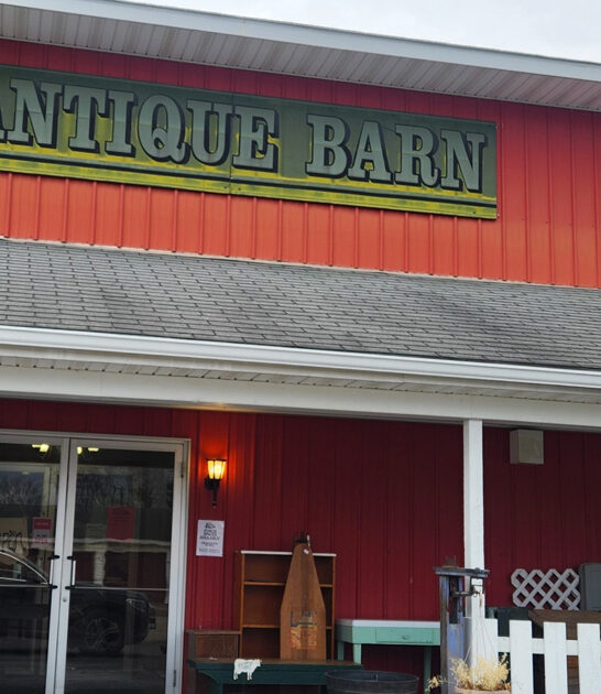 vintage market michigan experience ftr