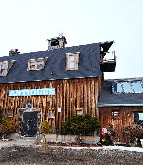 vintage store deals idaho ftr