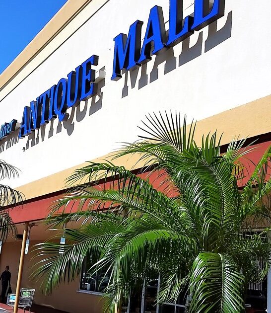 vintage store florida splendid ftr