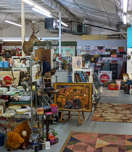 vintage store idaho huge ftr