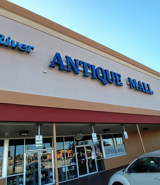 vintage store splendid florida ftr