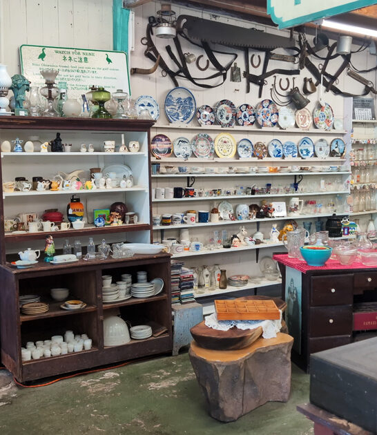 vintage store treasures hawaii ftr