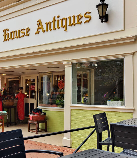 vintage store virginia treasure FTR