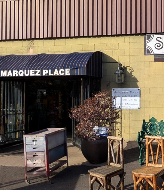 vintage treasure new mexico ftr