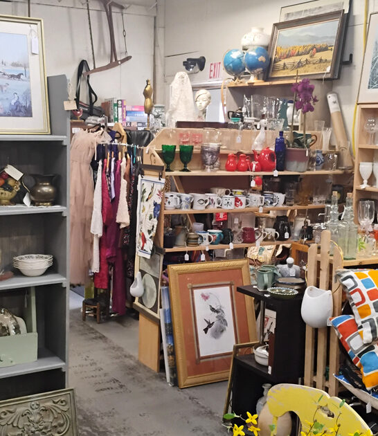 vintage underrated maine store ftr