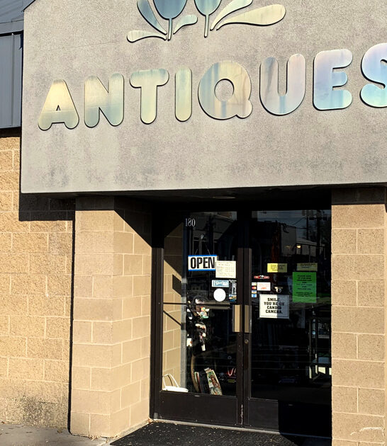 vintage utah fills backseat ftr