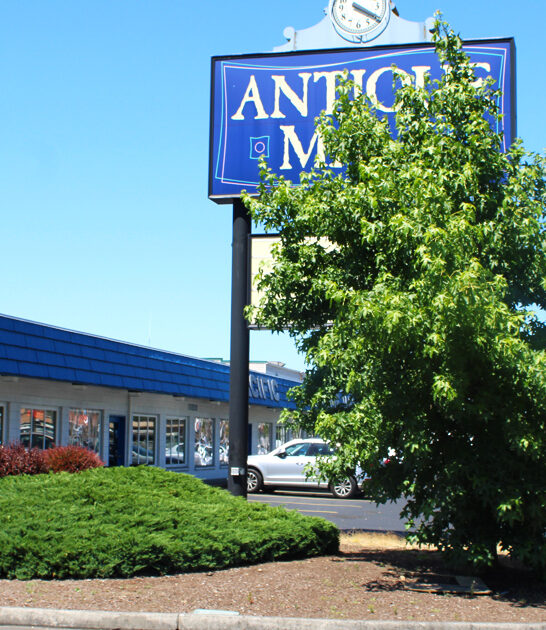 vintage vast store washington ftr