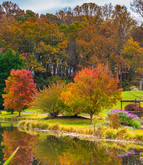 virginia botanical garden trip ftr