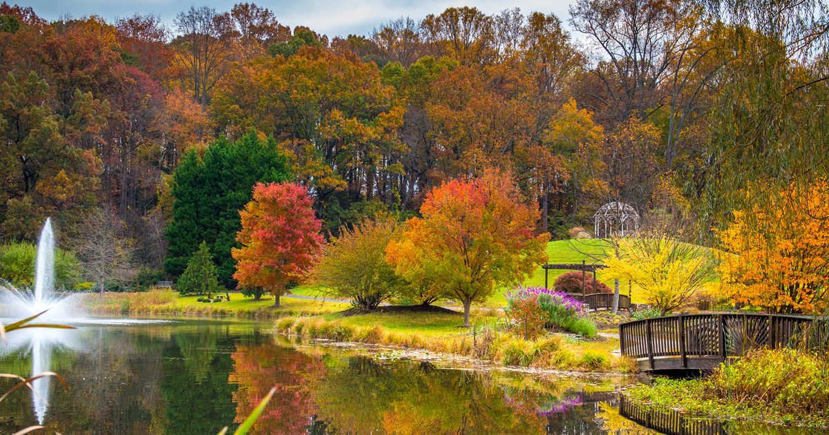 This Dreamy Botanical Garden In Virginia Perfect For An Unforgettable ...