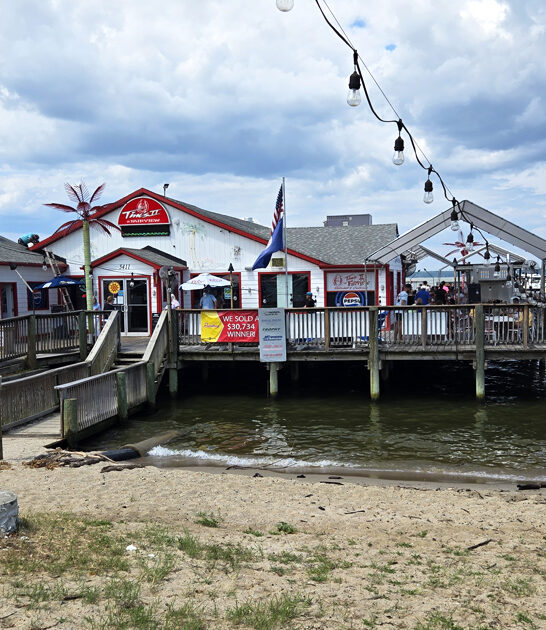 virginia hard shell crabs ftr
