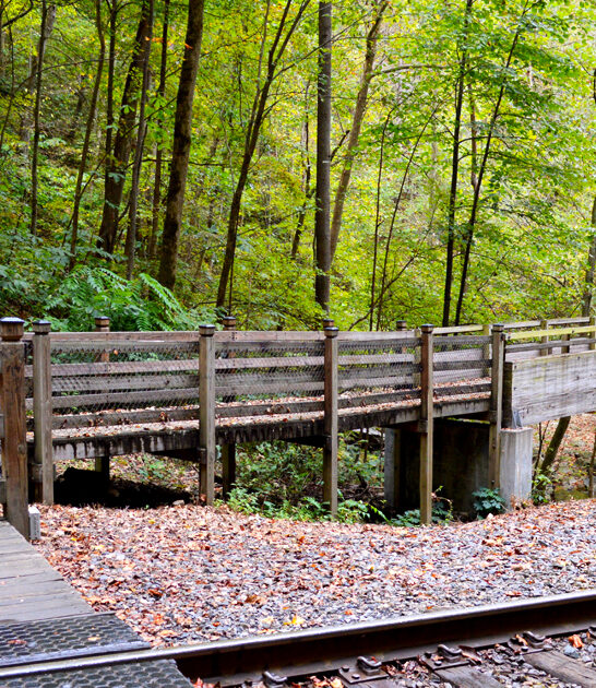 virginia nature relaxation park ftr
