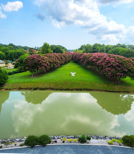 virginia postcard botanical garden ftr
