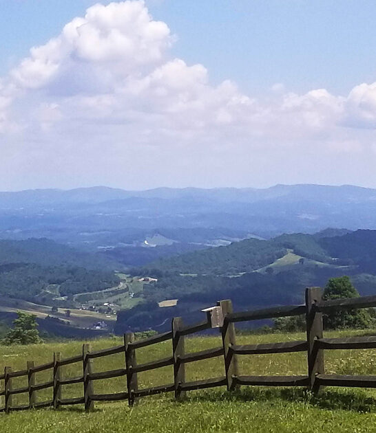 virginia postcard huge park ftr