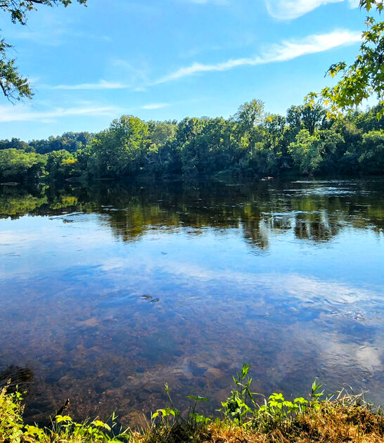 virginia secret gorgeous park ftr