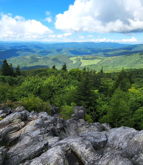 virginia worthy nature park ftr
