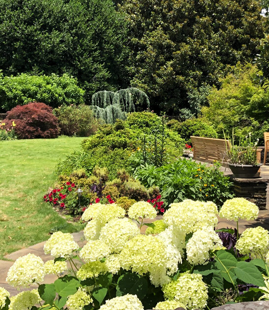 wandering south carolina gardens ftr