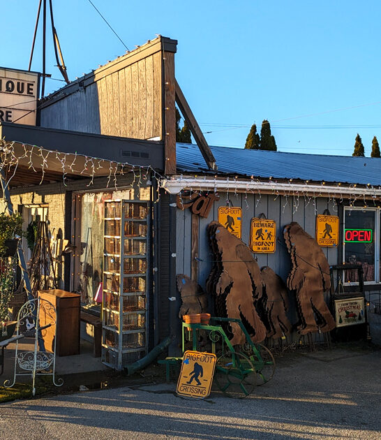 washington gigantic market flea ftr