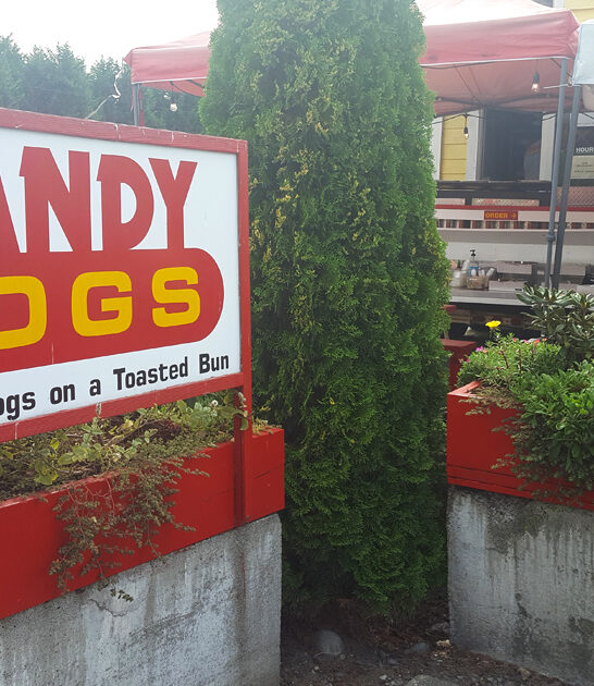 washington hot dog joints ftr