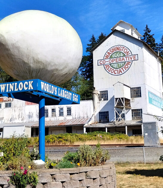 washington roadside attraction drive ftr