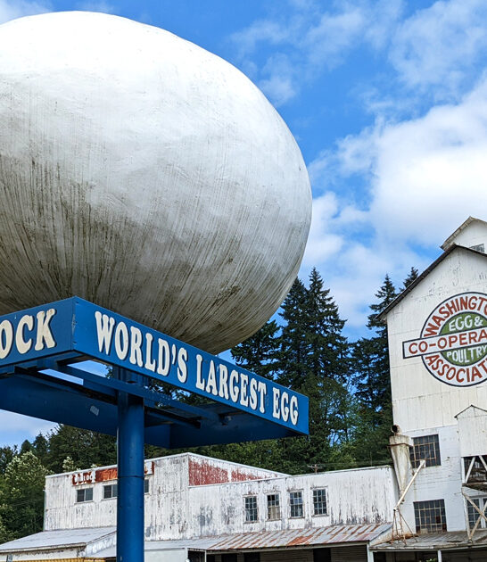 washington roadside attraction enormous ftr