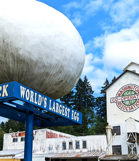 weird roadside attraction washington ftr