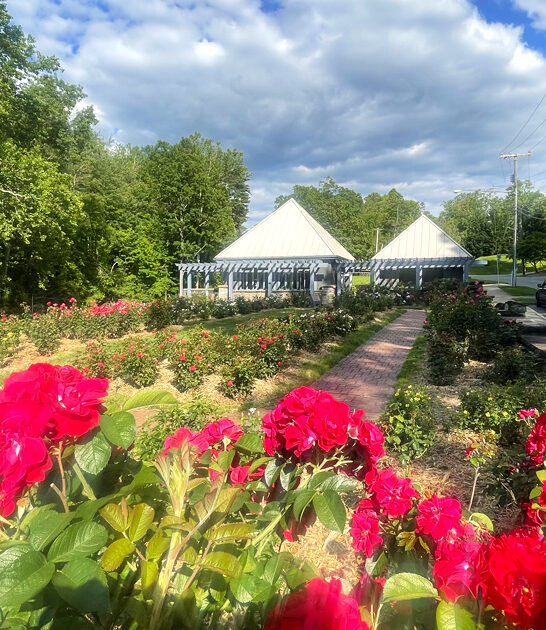 west virginia breathtaking garden ftr