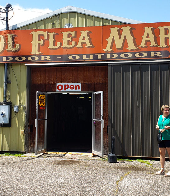 west virginia terrific market ftr