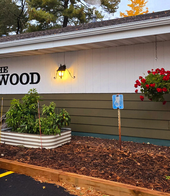 wisconsin good onion soup ftr