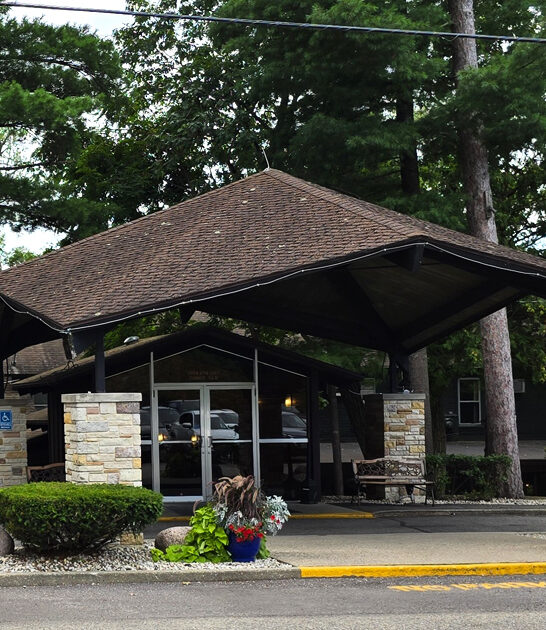 wisconsin onion rings delicious ftr