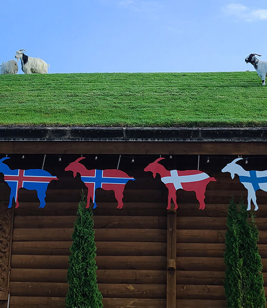 wisconsin wacky restaurant ftr