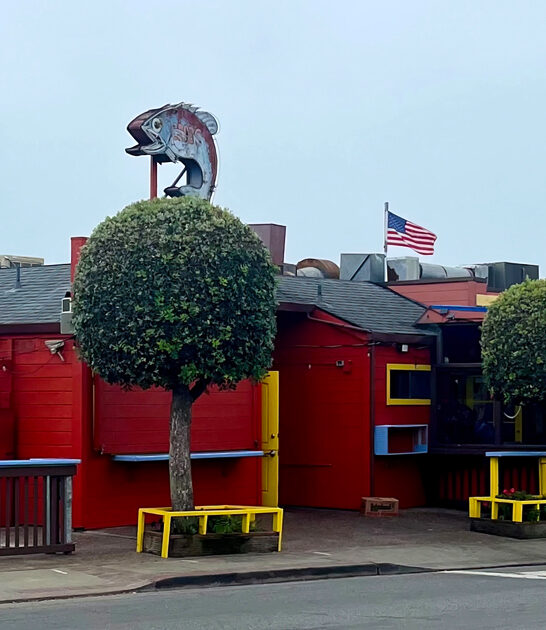 worth fish tacos california ftr