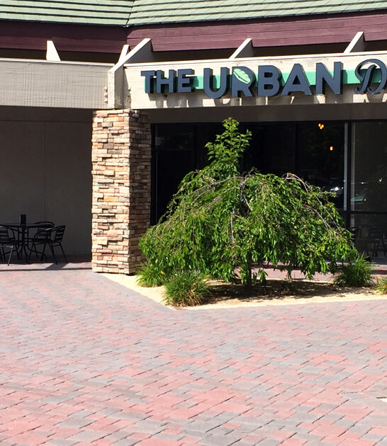 worthwhile sandwich shops nevada ftr