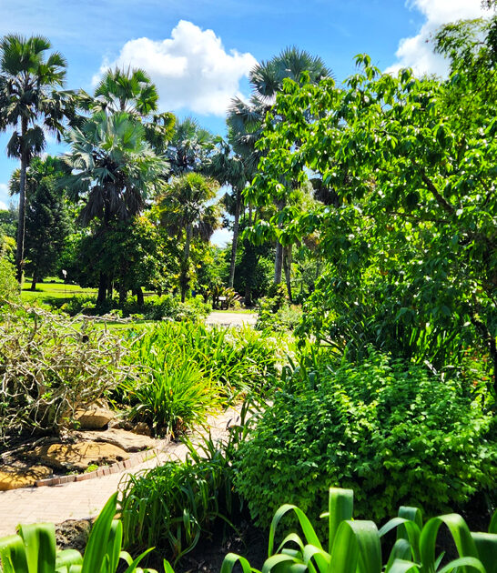 worthy botanical garden florida ftr
