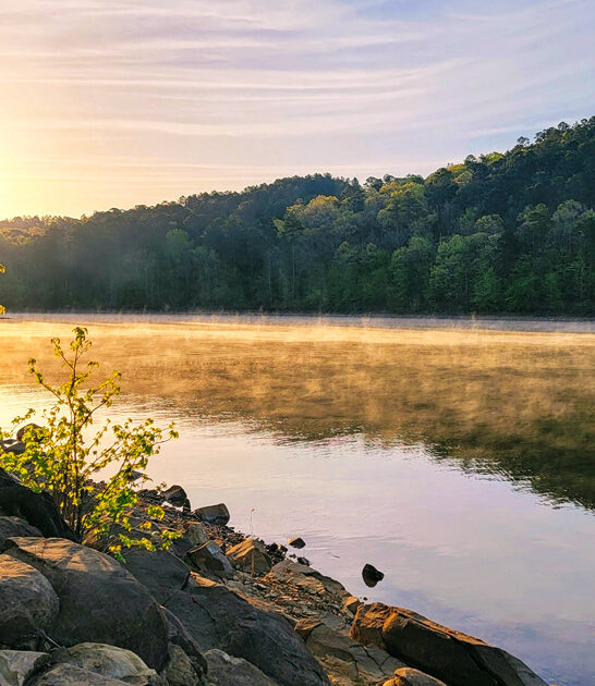 worthy park arkansas secret ftr