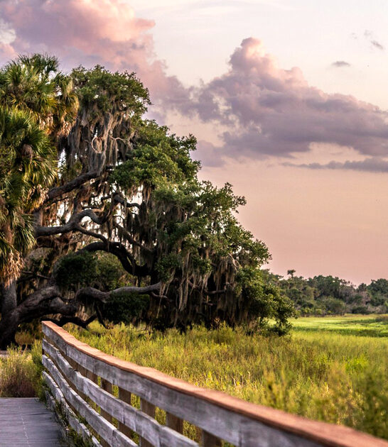 worthy park beautiful florida ftr