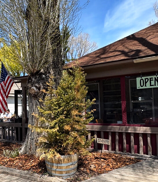 wyoming patty melt cafe ftr