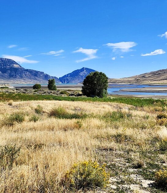 wyoming state park solitude ftr