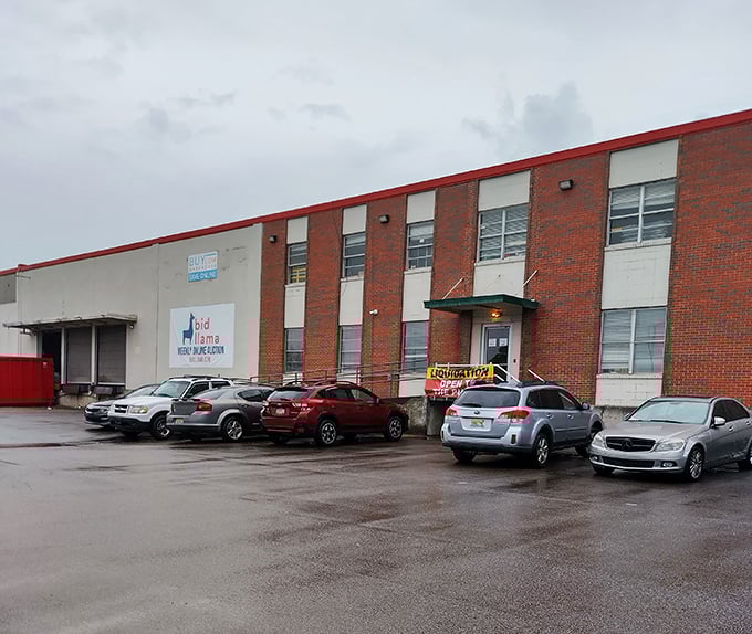 The unassuming brick exterior of Bid Llama might not scream "treasure trove," but savvy Birmingham shoppers know better than to judge this bargain paradise by its cover.