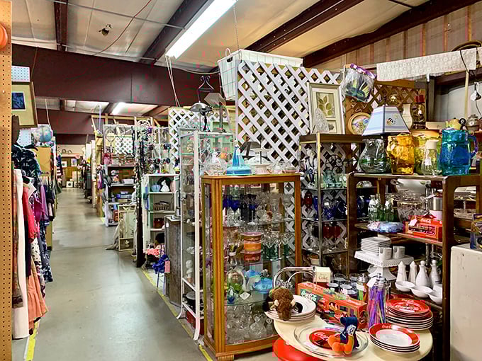 Treasure hunters, take note: these aisles aren't just packed with stuff&mdash;they're filled with stories waiting to be discovered and taken home.