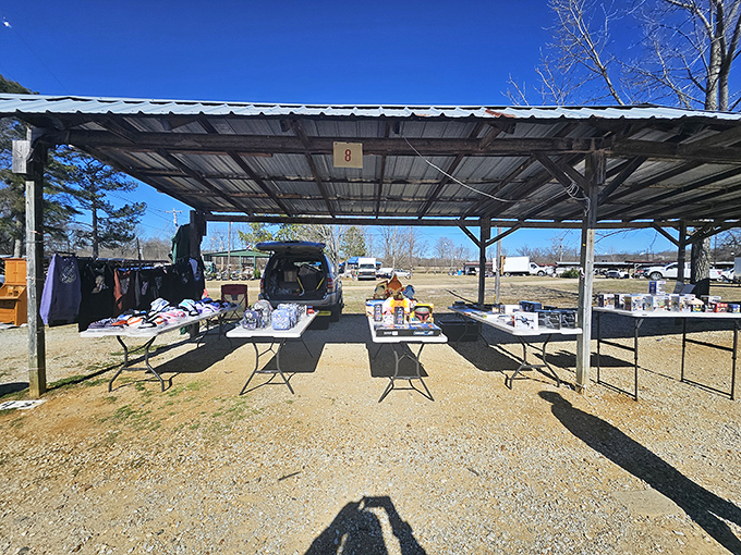 A classic First Monday setup: simple tables under rustic metal shelters where treasures await the keen-eyed bargain hunter.