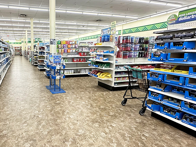 Wide aisles of possibility stretch before you like the North Dakota horizon &ndash; a bargain hunter's paradise.