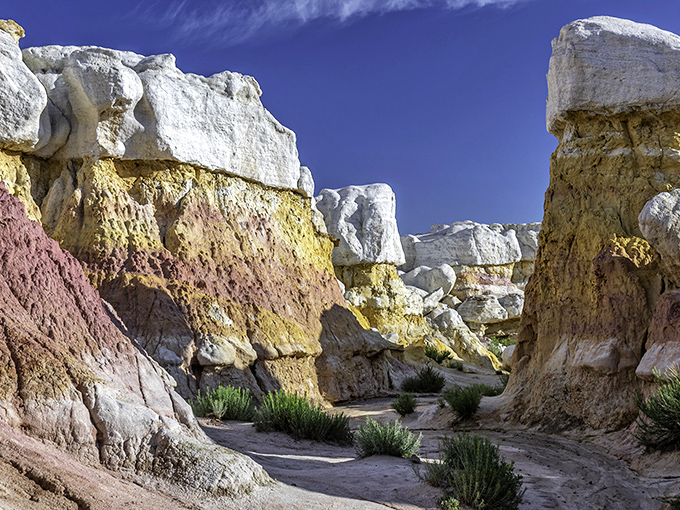 Nature's sculpture garden stands proudly against Colorado's blue sky, showcasing formations that look like they were designed by a geological Picasso.