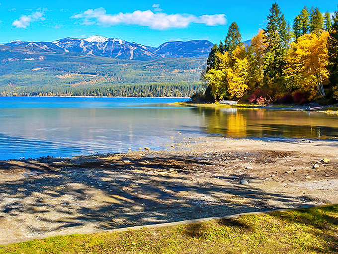 Montana's masterpiece on display: autumn's golden cottonwoods reflect in crystal waters while mountains stand guard. Nature showing off without even trying.