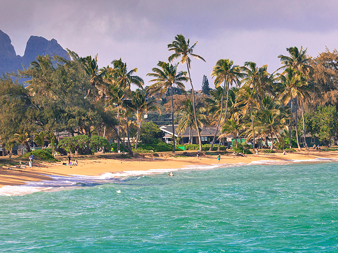 Paradise isn't always a postcard&mdash;sometimes it's better. Kapaa's golden shores meet turquoise waters while palm trees sway like they're dancing to their own island rhythm.