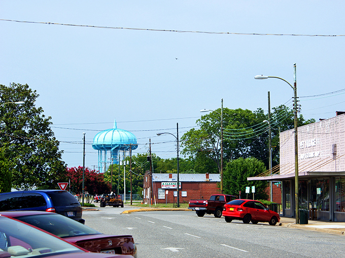 Goldsboro's distinctive blue water tower peeks above the treeline, a cheerful landmark that locals use for navigation and visitors quickly adopt as their own North Star.